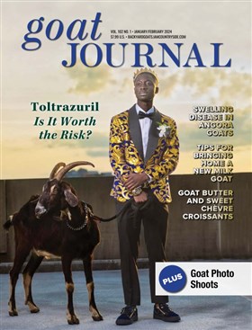 Countryside special sections