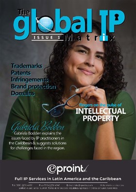 The Global IP Matrix