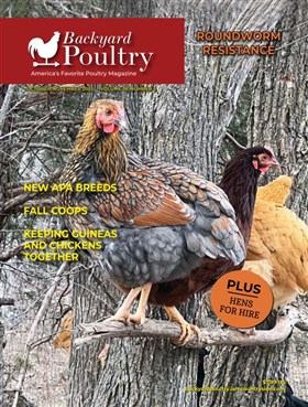 Backyard Poultry Magazine