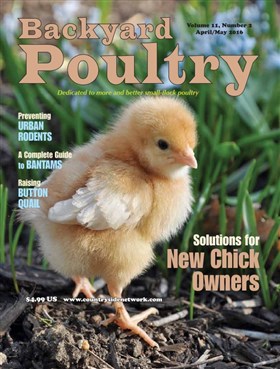 Backyard Poultry Magazine