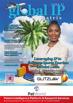 The Global IP Matrix