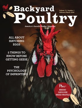 Backyard Poultry Magazine