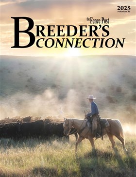 TSLN Special Sections