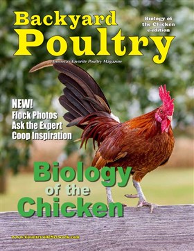 Backyard Poultry Magazine
