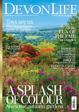 Devon Life Single Issues