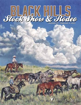 TSLN Special Sections