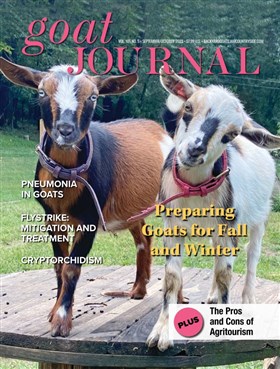 Countryside special sections