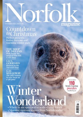 Norfolk Magazine Single Issues