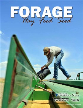 TSLN Special Sections