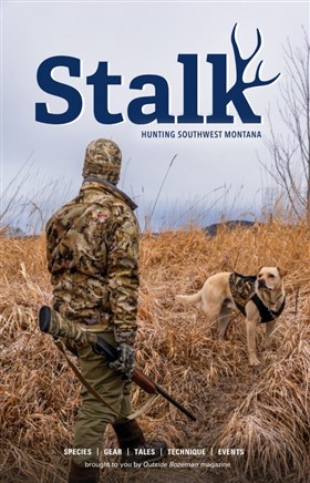 Stalk Hunting Guide