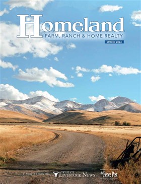 TSLN Special Sections