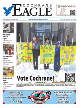 Cochrane Eagle