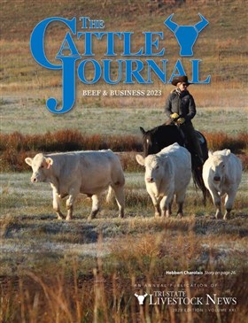 TSLN Special Sections