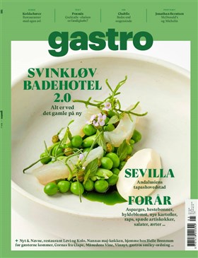 gastro