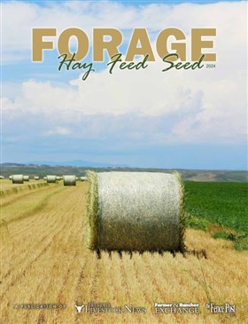 TSLN Special Sections