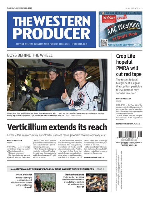 Canola Prices, Futures, Charts, and History | The Western Producer