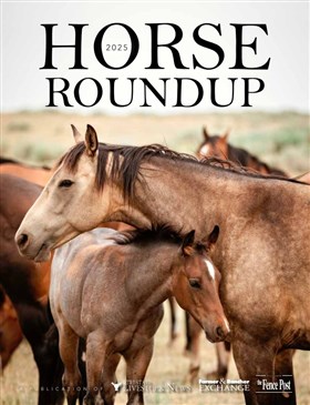 TSLN Special Sections