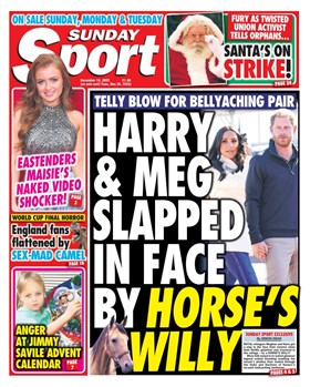 The Sunday Sport
