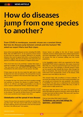 Project Repository Journal