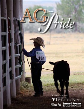 TSLN Special Sections