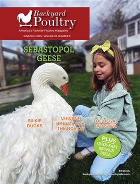 Backyard Poultry Magazine