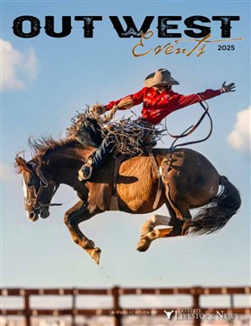 TSLN Special Sections