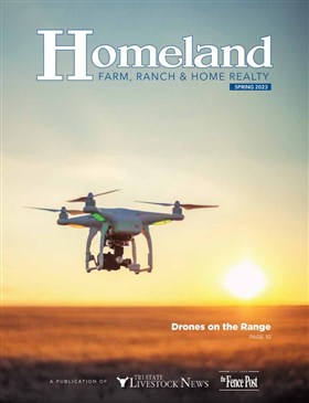 TSLN Special Sections