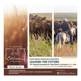 TSLN Special Sections