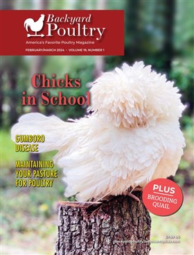 Backyard Poultry Magazine