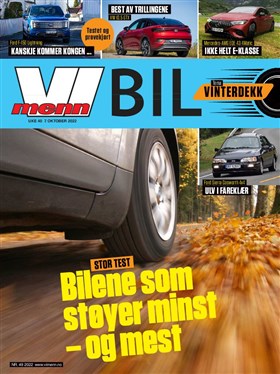 Vi Menn Tema