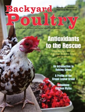 Backyard Poultry Magazine