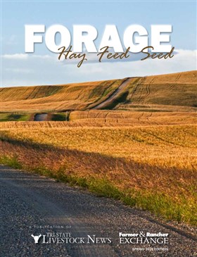 TSLN Special Sections