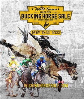 TSLN Special Sections