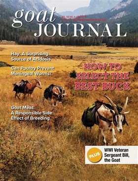 Countryside special sections