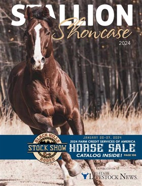 TSLN Special Sections