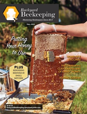 Countryside special sections