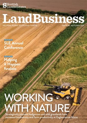 Land Business