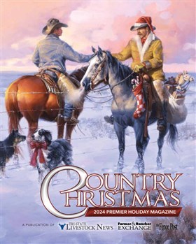 TSLN Special Sections