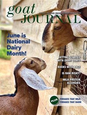 Countryside special sections