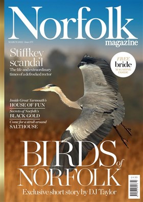Norfolk Magazine Single Issues