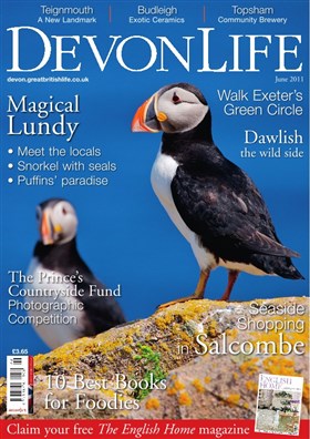 Devon Life Single Issues