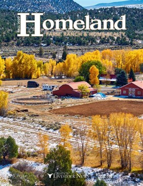 TSLN Special Sections