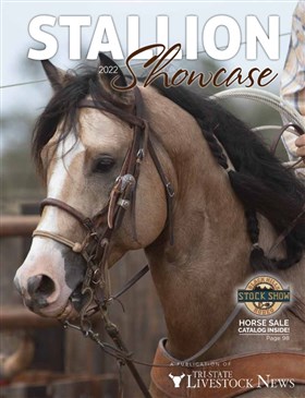 TSLN Special Sections