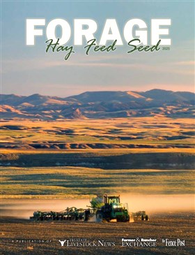 TSLN Special Sections