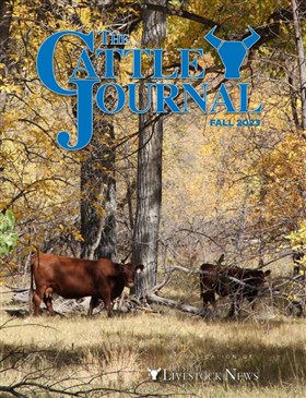 TSLN Special Sections