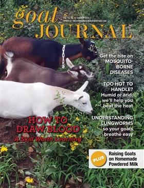 Countryside special sections