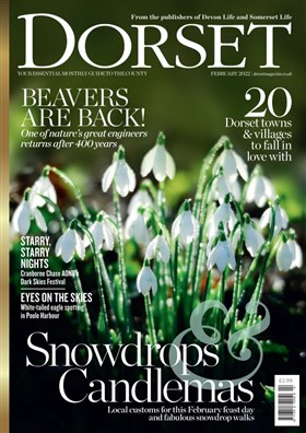 Dorset Magazine Single Issues