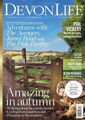 Devon Life Single Issues