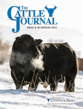 TSLN Special Sections