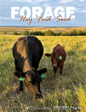 TSLN Special Sections